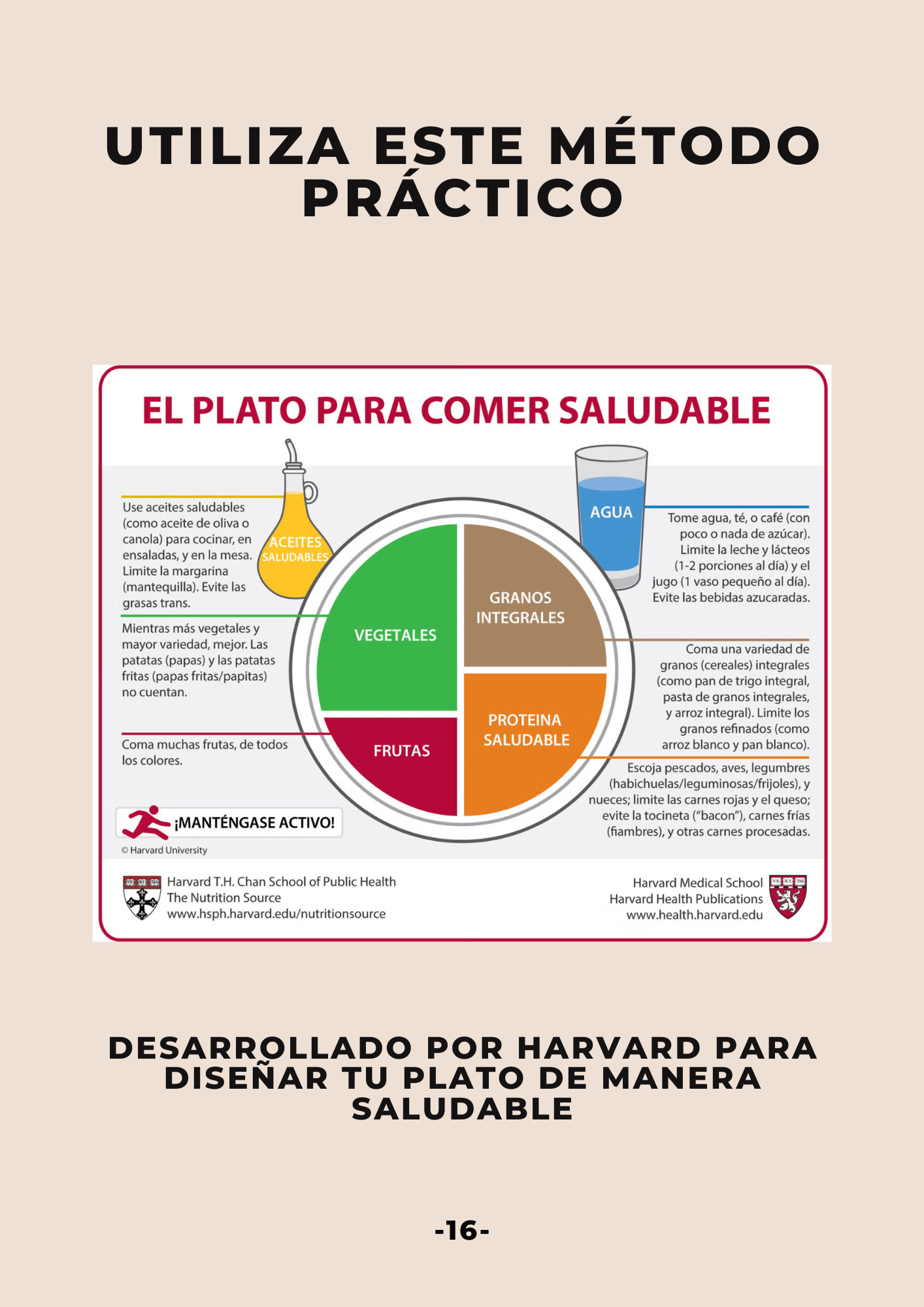 Guía rápida del semáforo de alimentos: qué comer y qué evitar — Viva 360