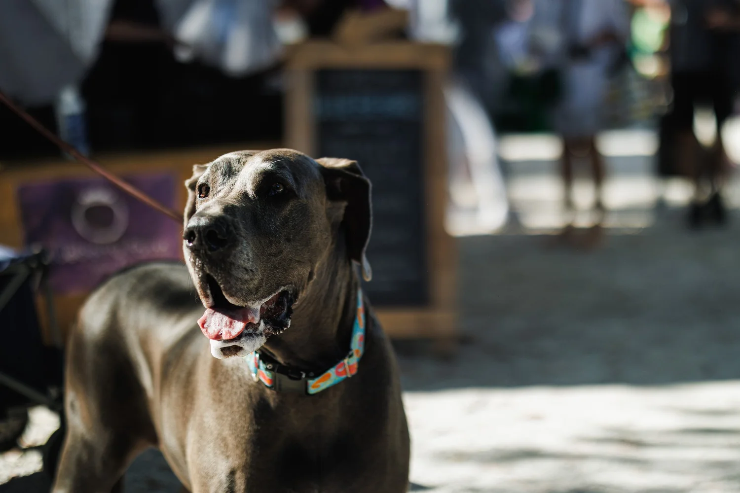 Manning Road Farmers Market