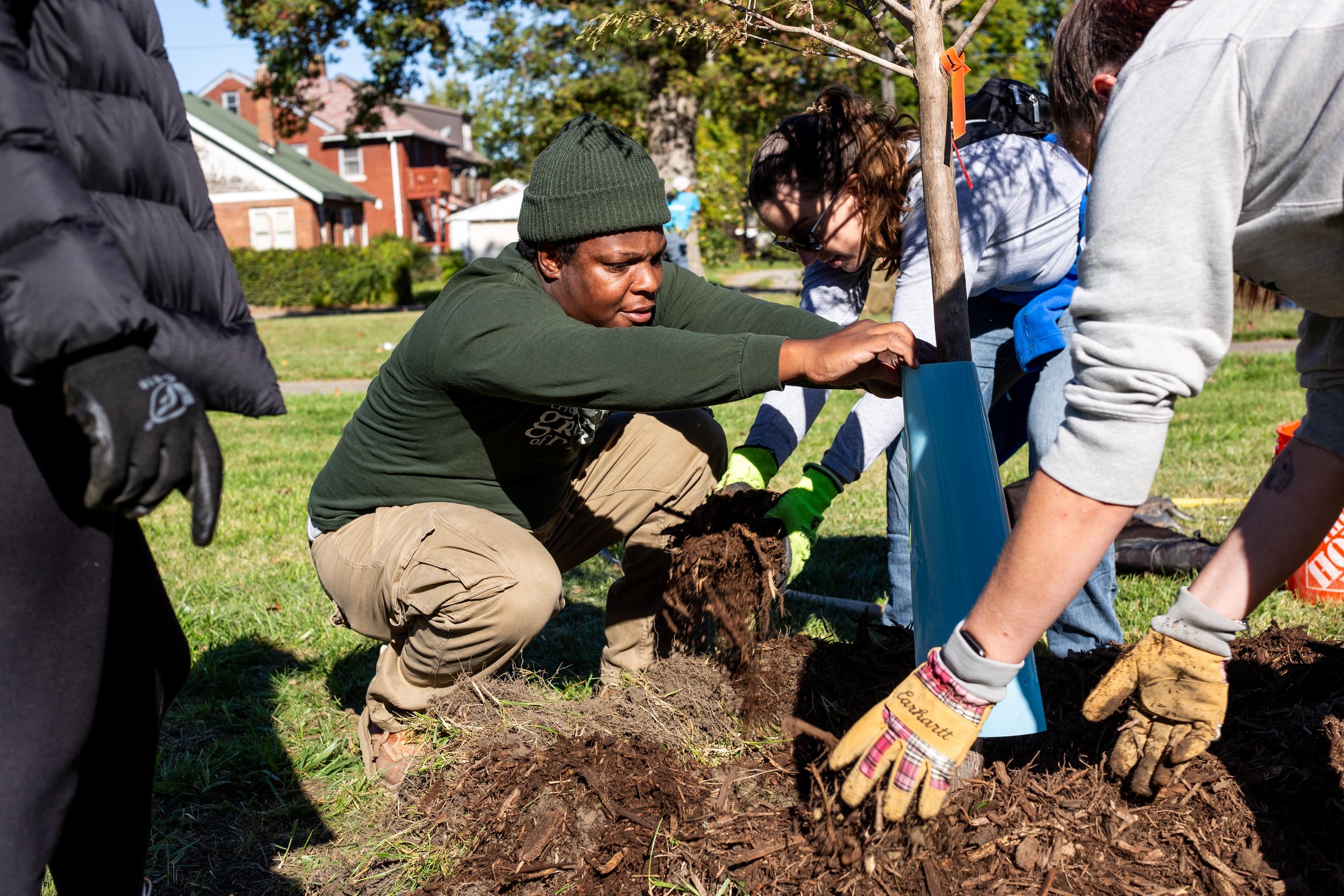 Detroit Tree Partnership