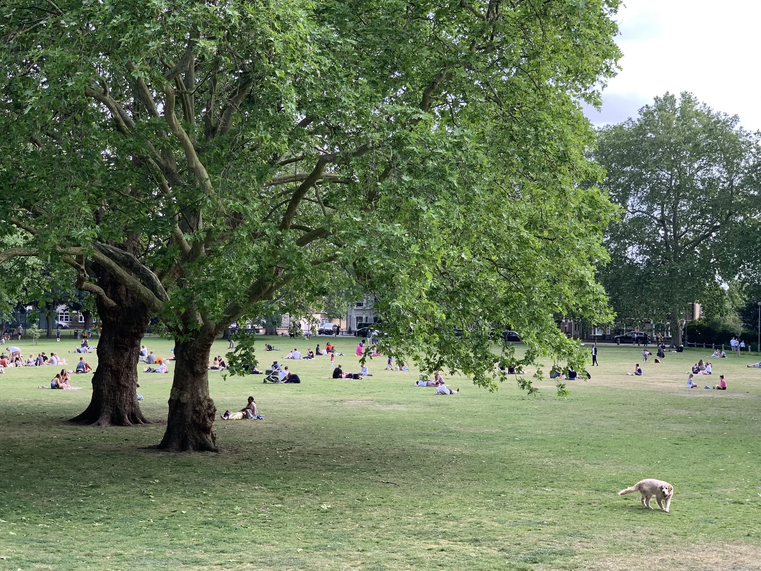 Friends of Eel Brook Common & Parsons Green