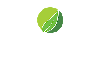 Our Favorite Shade Trees for Nebraska Landscapes — Jensen Gardens