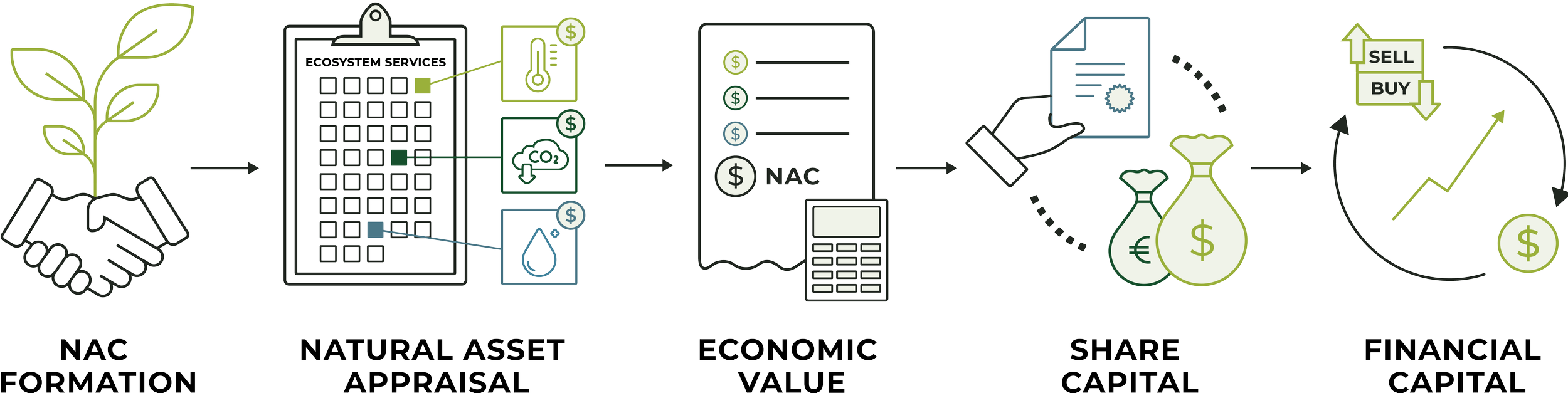 How Natural Asset Companies Work — Intrinsic Exchange Group