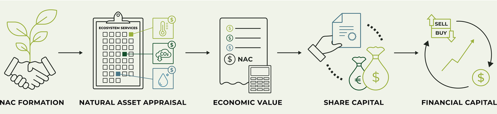 How Natural Asset Companies Work — Intrinsic Exchange Group