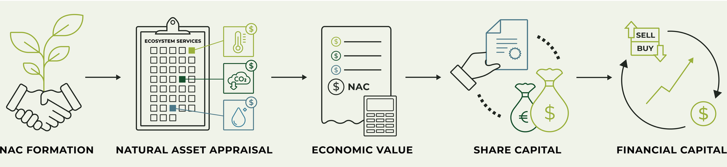 How Natural Asset Companies Work — Intrinsic Exchange Group