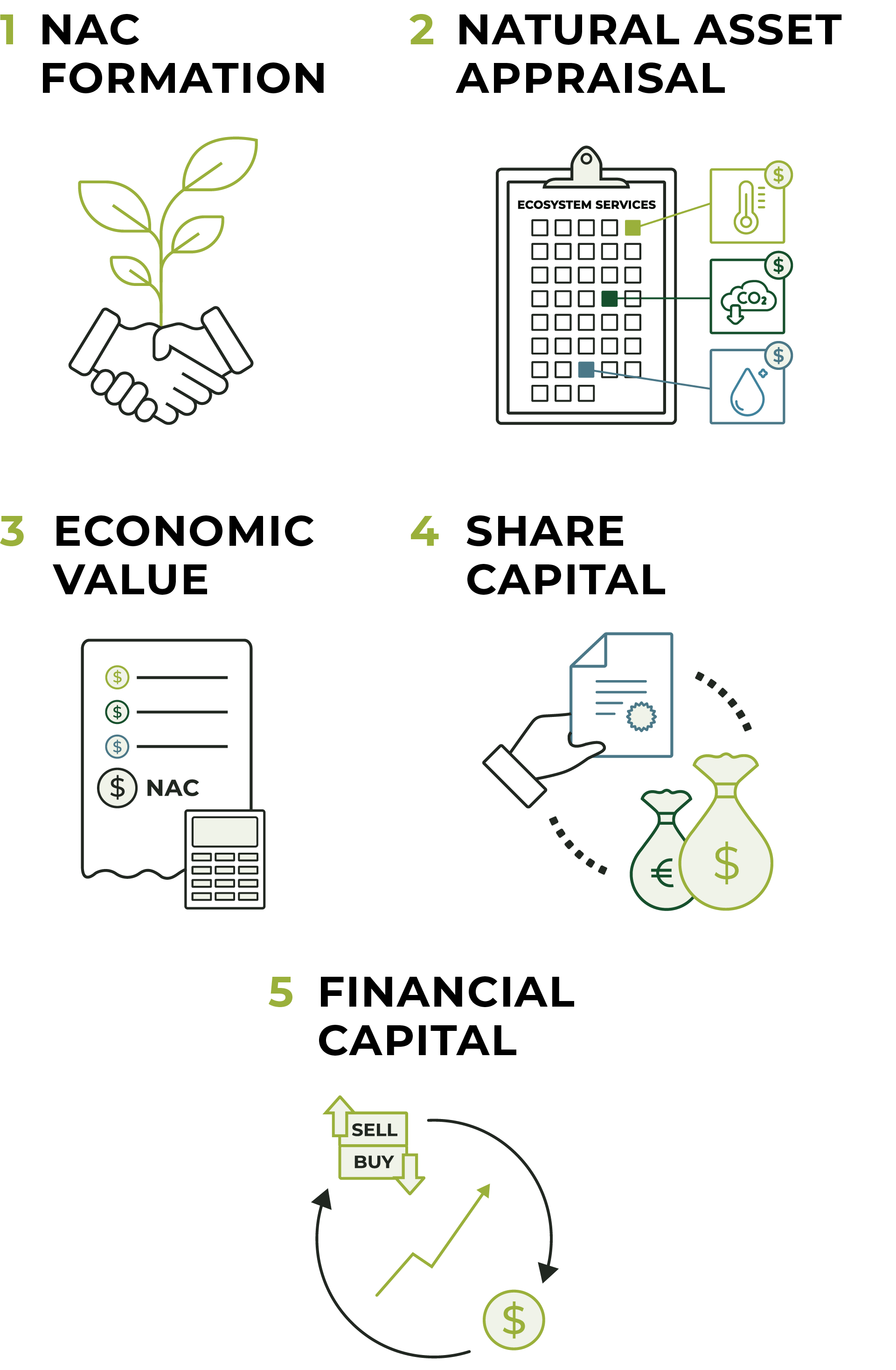 How Natural Asset Companies Work — Intrinsic Exchange Group