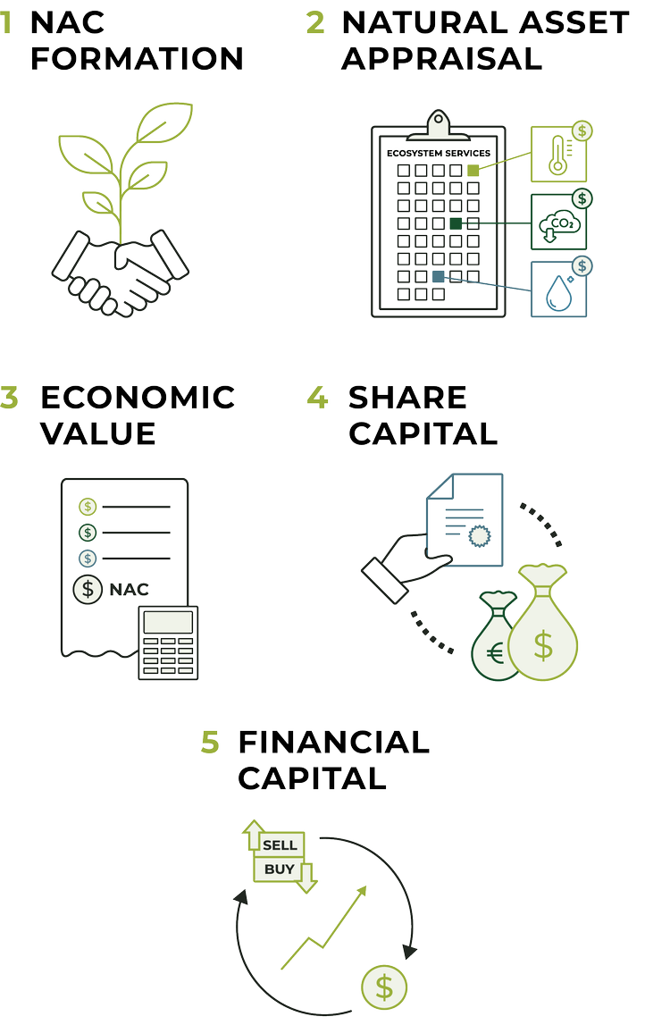 How Natural Asset Companies Work — Intrinsic Exchange Group