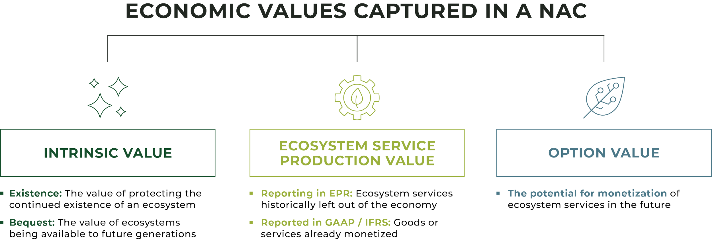 How Natural Asset Companies Value Nature — Intrinsic Exchange Group