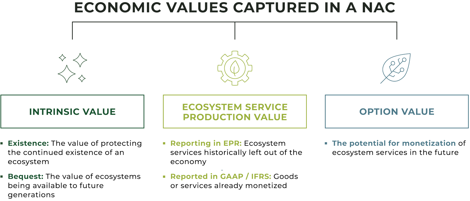 How Natural Asset Companies Value Nature — Intrinsic Exchange Group