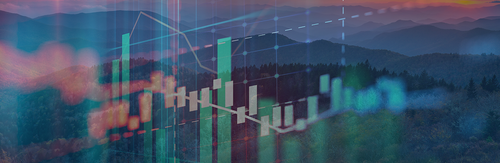 How Natural Asset Companies Work — Intrinsic Exchange Group