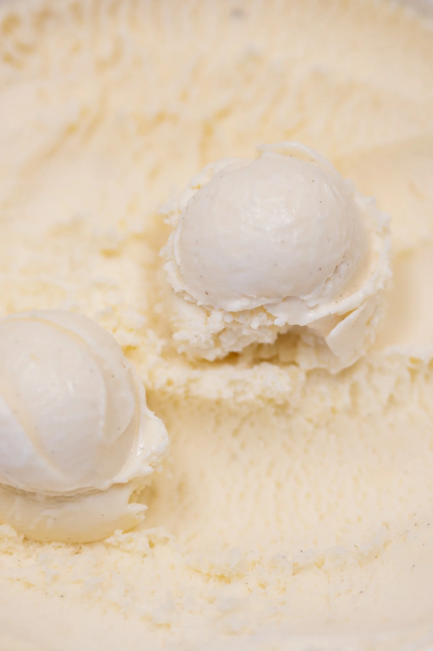 Jamie's Ice Cream Co.