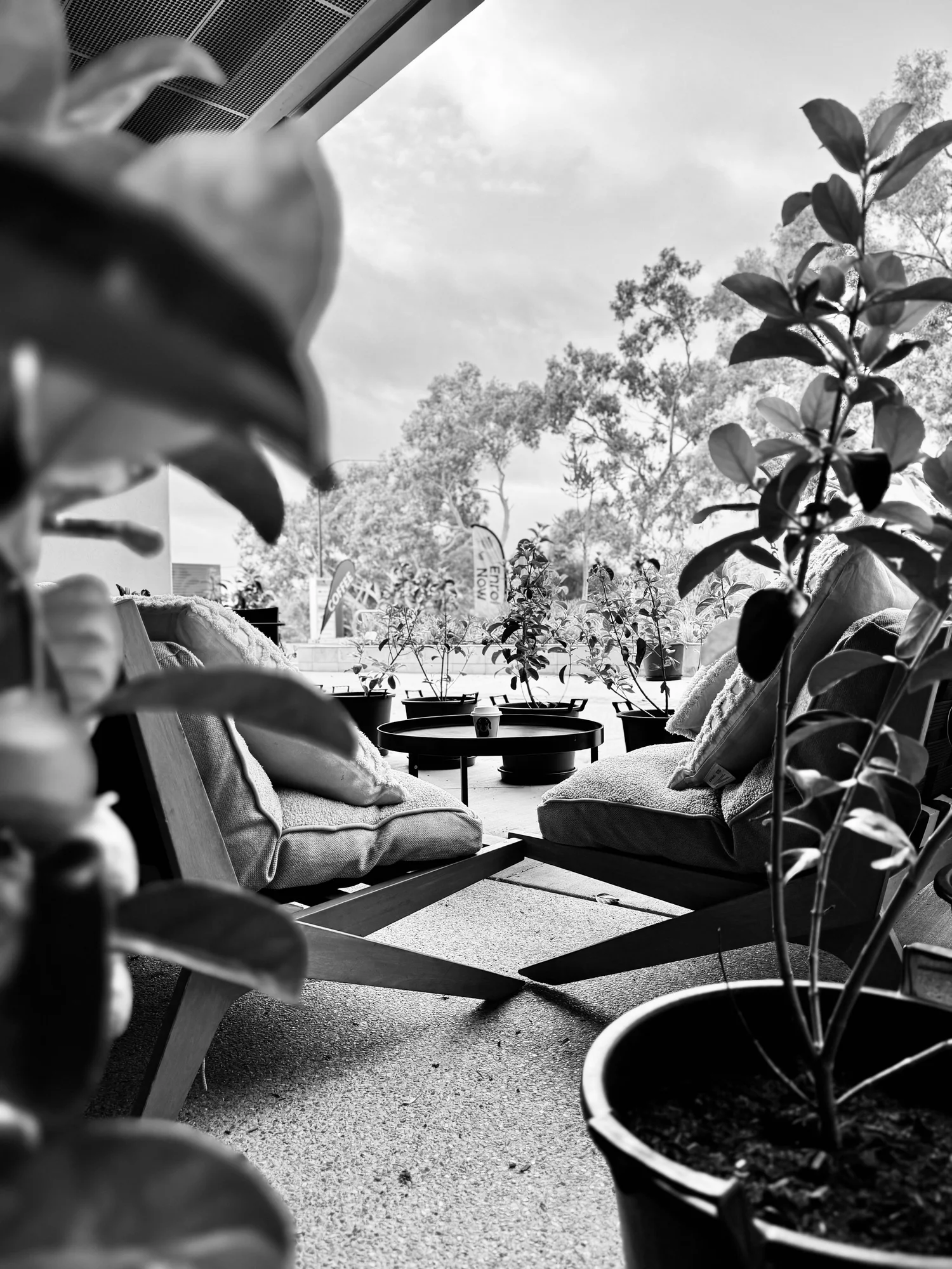 Sip, Savour, and Share: Ruby Collective's Catering & Coffee