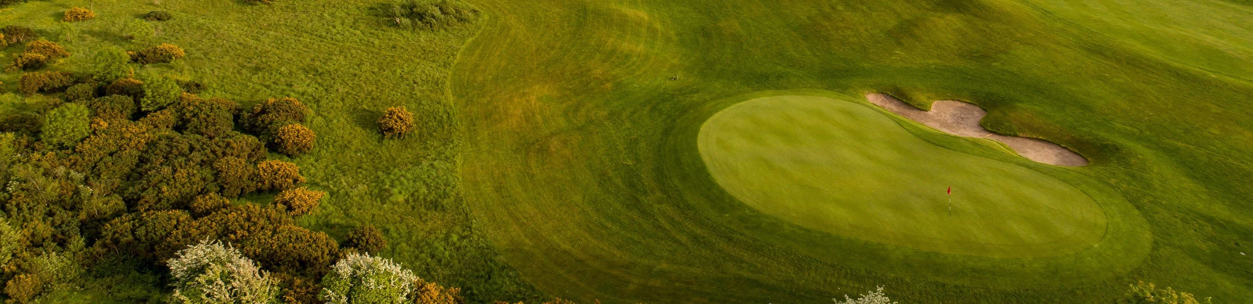 Members — Blarney Golf Club