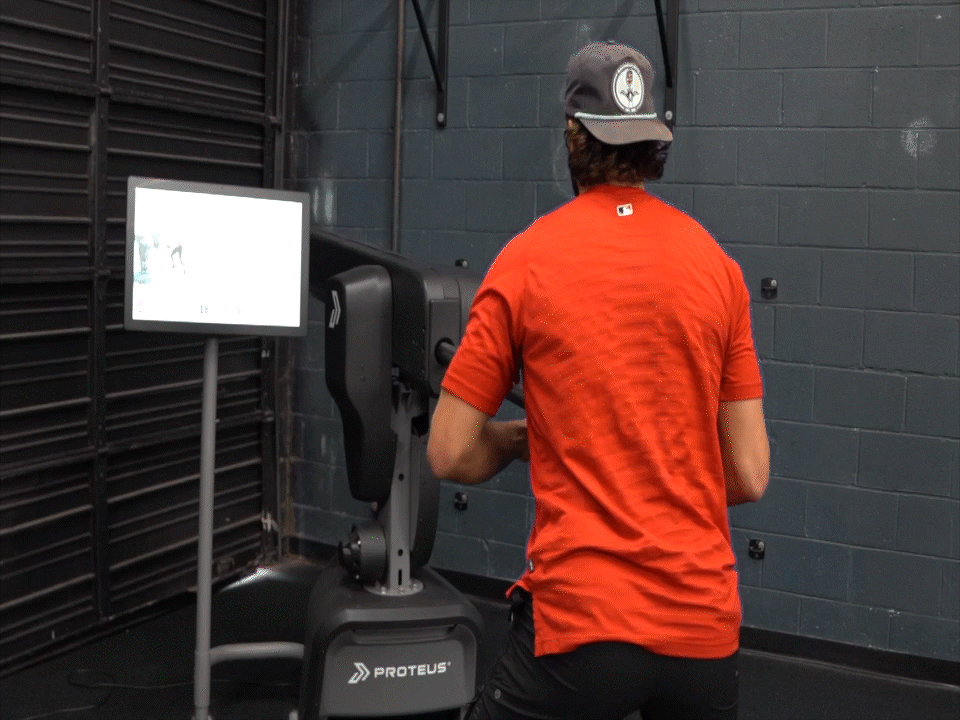 Assessments — Baseball Lab