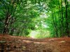 Middleton Bike Park — CORP Trails
