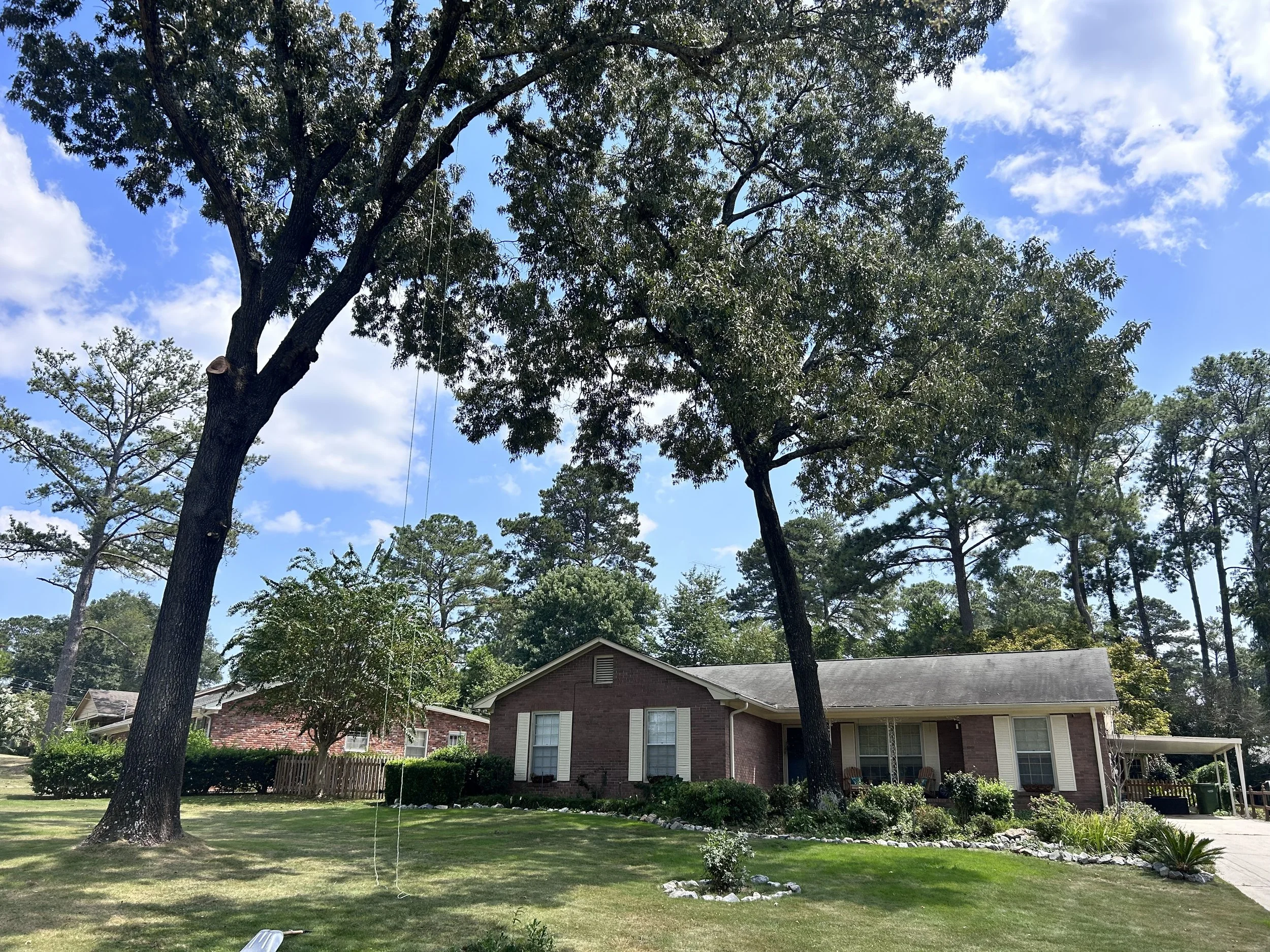 About | Get in Touch Today — Tree MD Local Tree Care LLC Veteran Owned ...