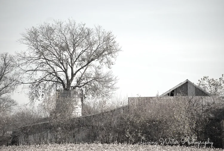 Living Water Photography and Designs