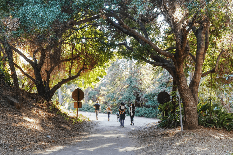 Palisades Community Fund