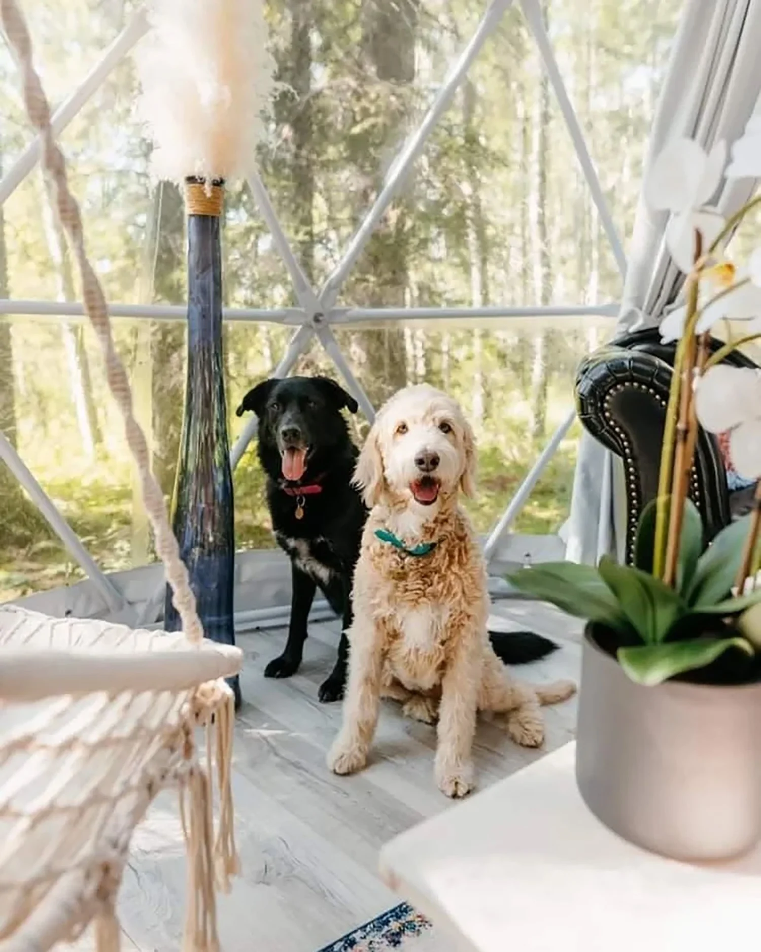 Glamp Good - Boreal Forest Glamping Located in Central Alberta, Canada