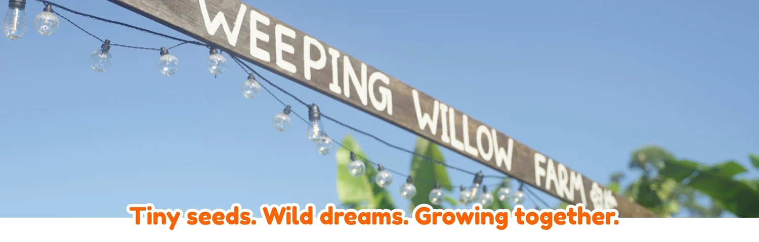 Our Story | Discover Our Journey — Weeping Willow Farm