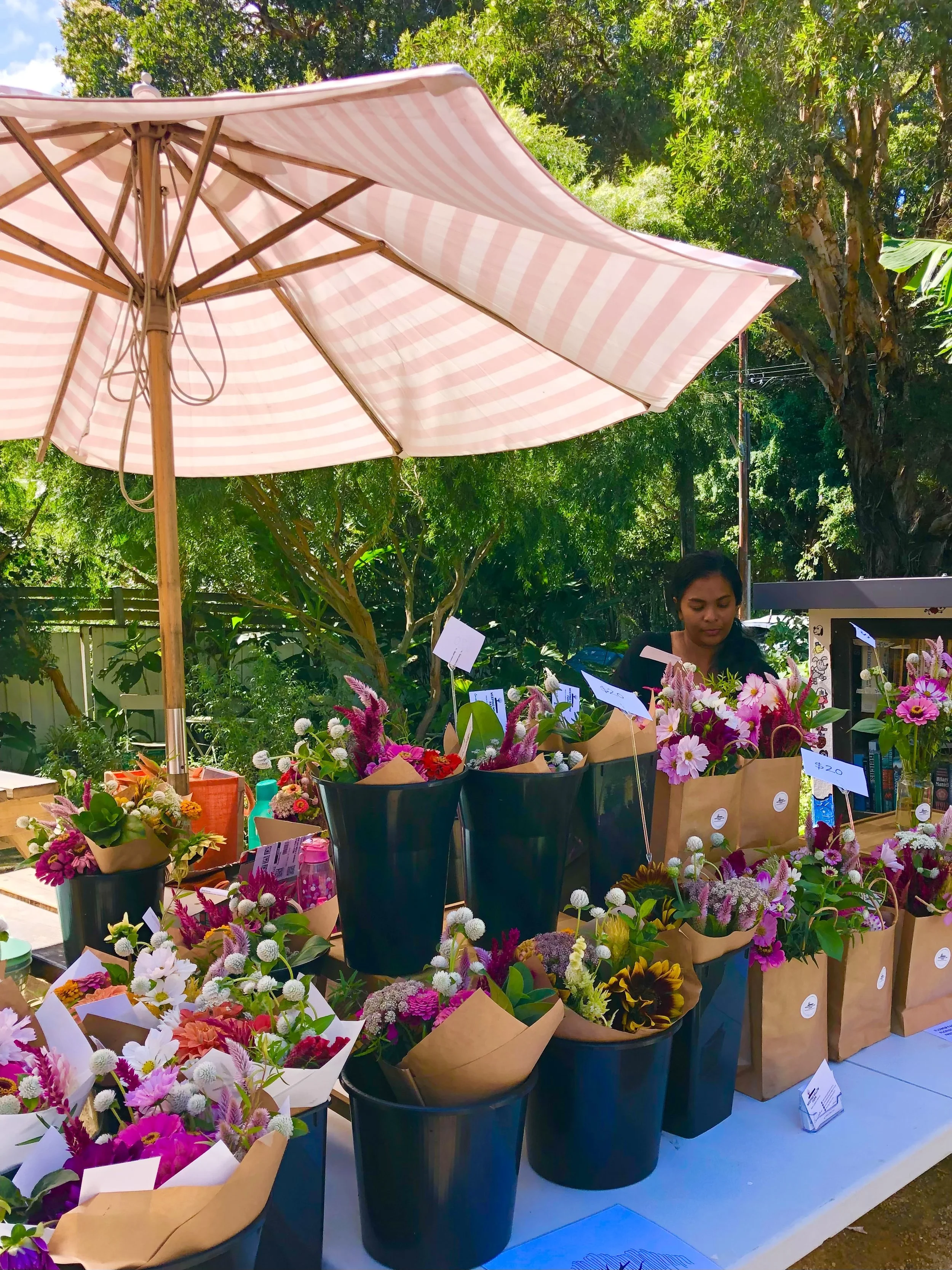 Our Story | Discover Our Journey — Weeping Willow Farm