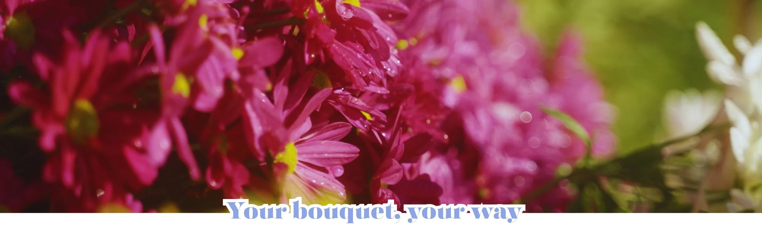 Bloom Bar | Create Memorable Moments Today — Weeping Willow Farm