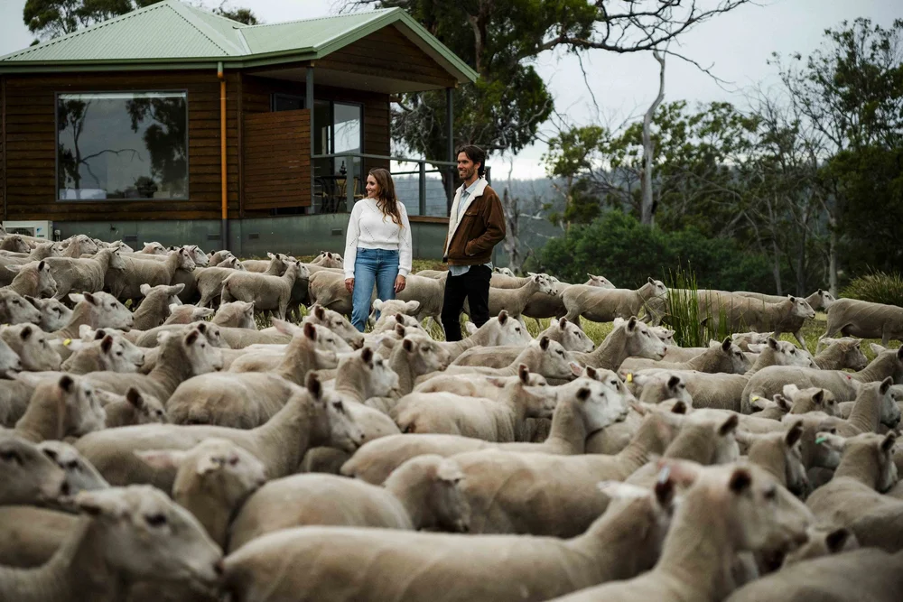 Curringa Farm Off Season Experience | Tassies favourite FarmStay