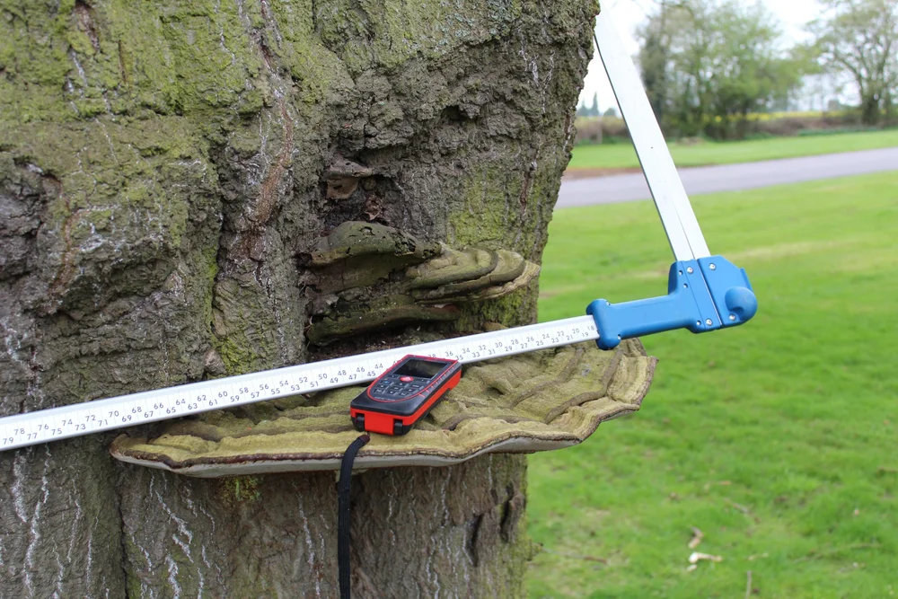 Meet Our Arboricultural Consultants providing Expert Tree Advice Across ...