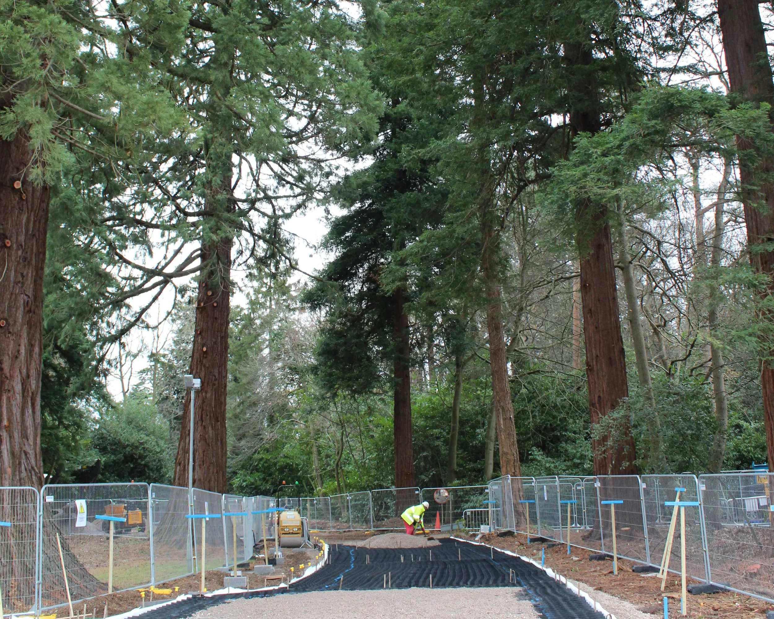 Understanding BS5837 - Trees in Relation to Design, Demolition ...