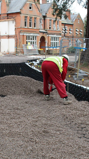 Understanding BS5837 - Trees in Relation to Design, Demolition ...