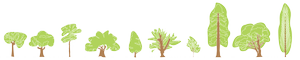 Tree Preservation Order Guidance — Expert advice relating to Tree ...
