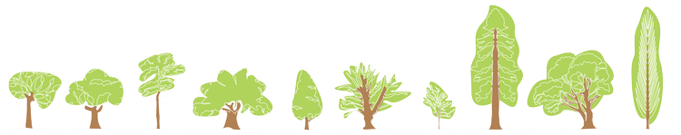 Understanding BS5837 - Trees in Relation to Design, Demolition ...