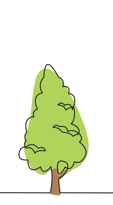 Understanding BS5837 - Trees in Relation to Design, Demolition ...