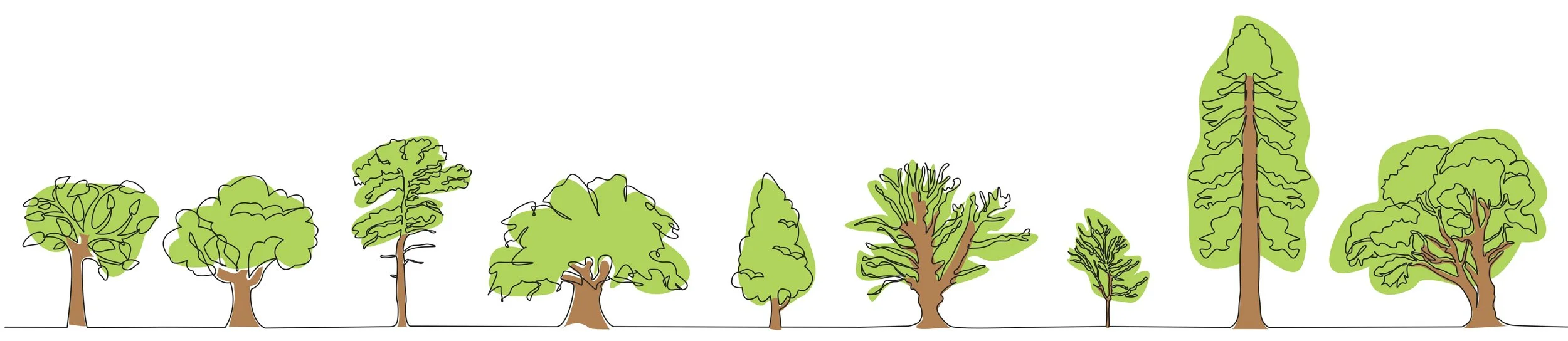 Meet Our Arboricultural Consultants providing Expert Tree Advice Across ...