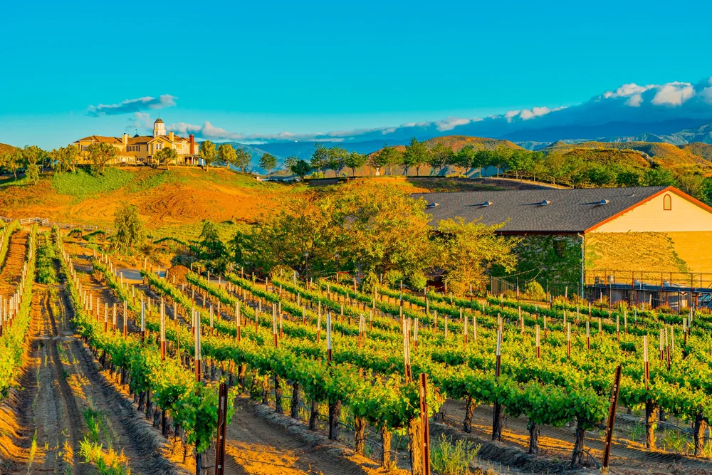 Executive VIP Wine Tours & Transport | Discover & Reserve Your ...