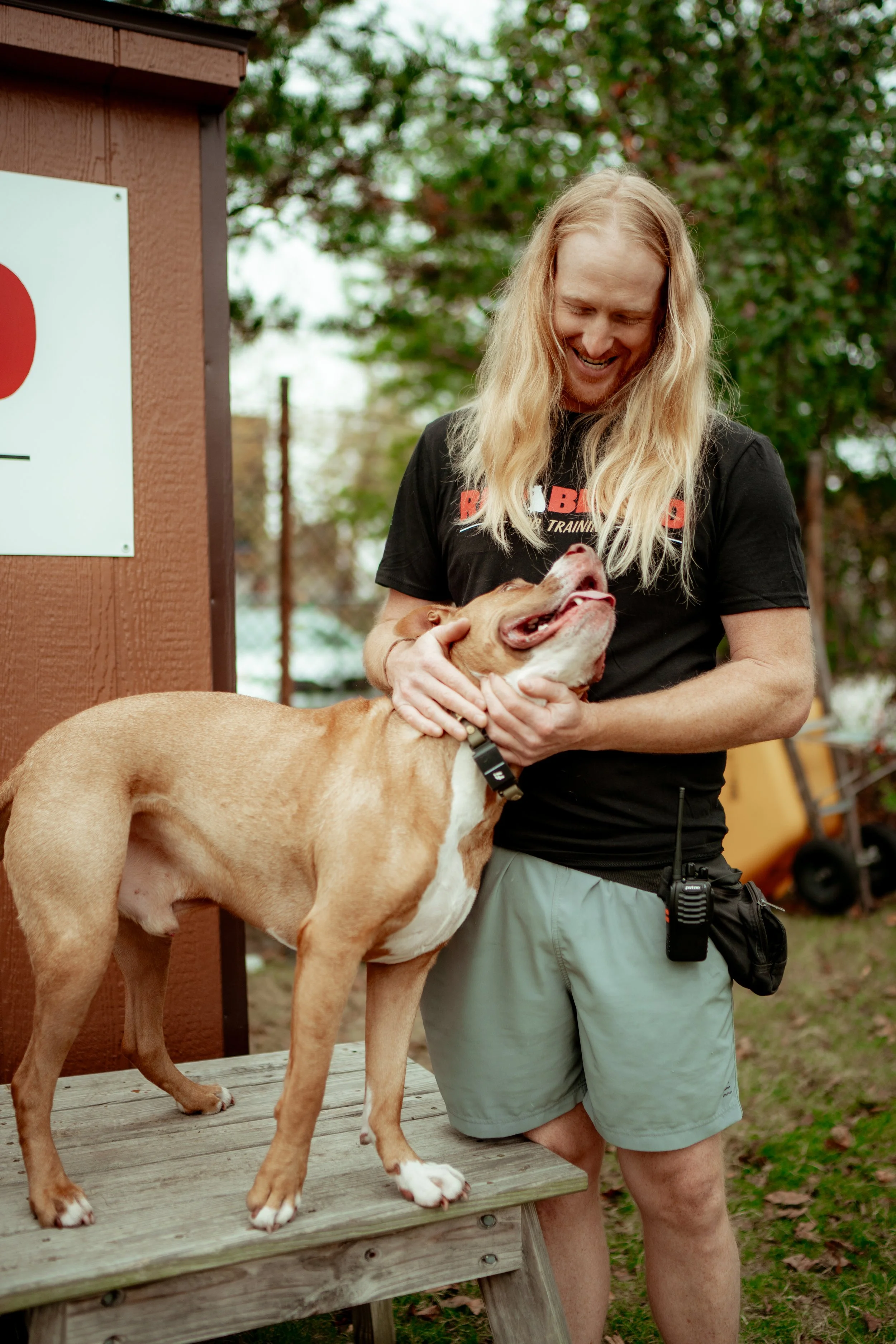Red Beard Dog Training