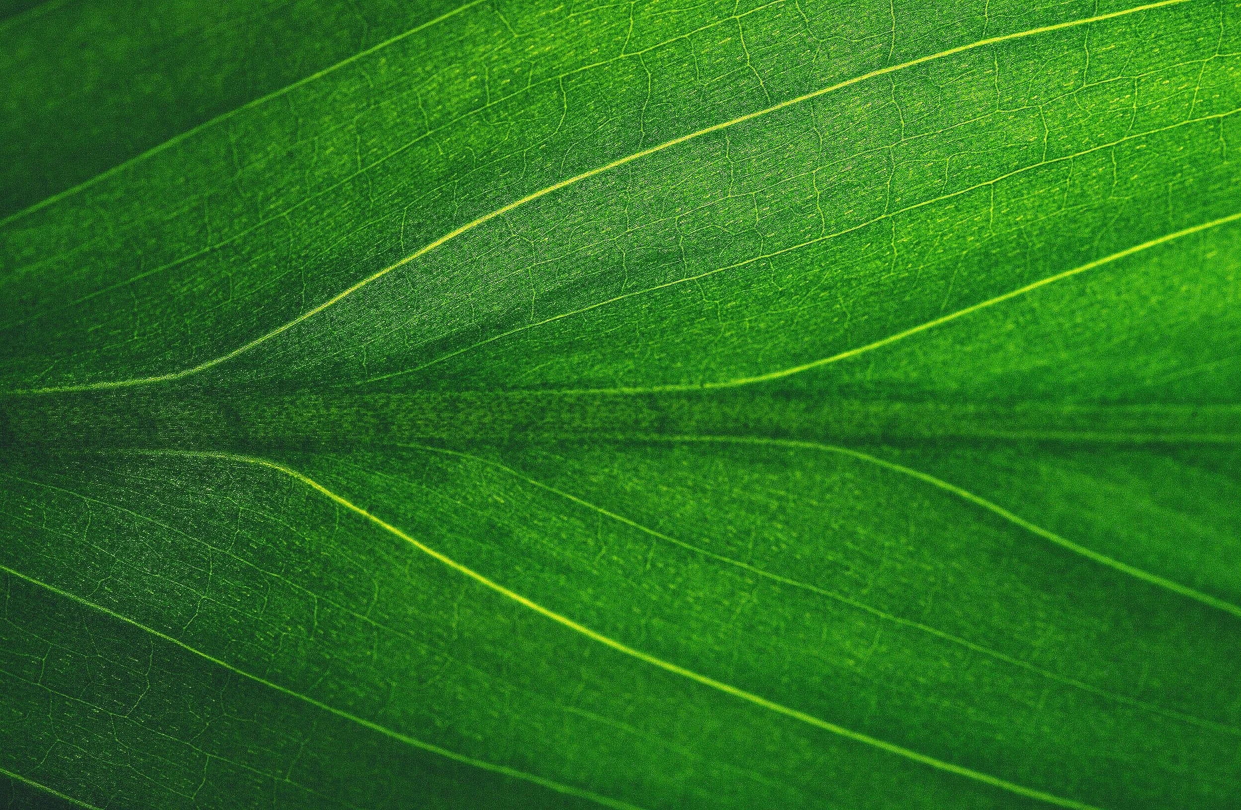 About — Environmental Research Institute