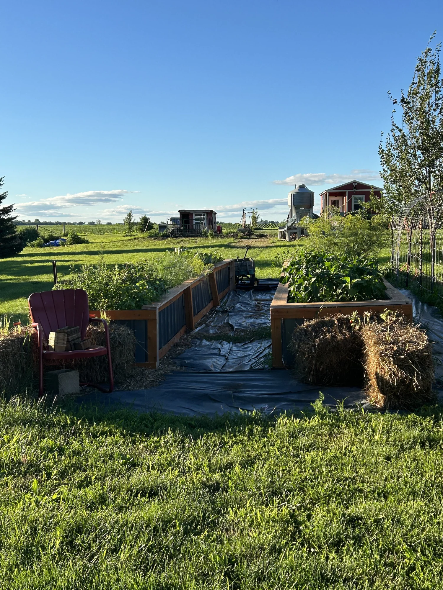 About | Family Farm — Septenary Farm