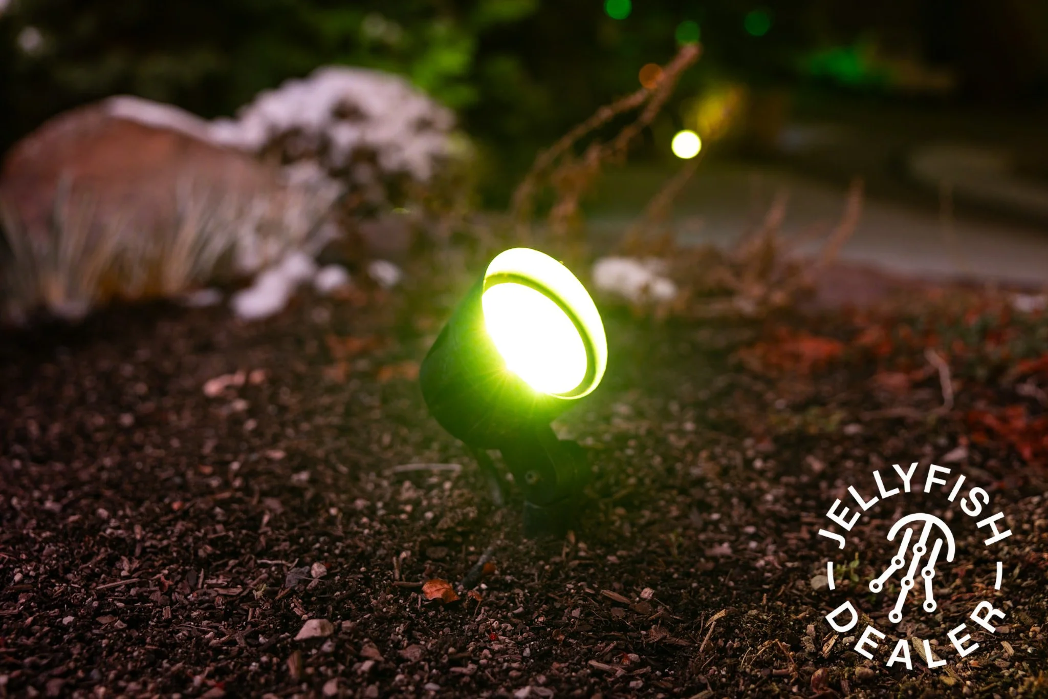 JellyFish Lighting — CoolBreeze Technologies