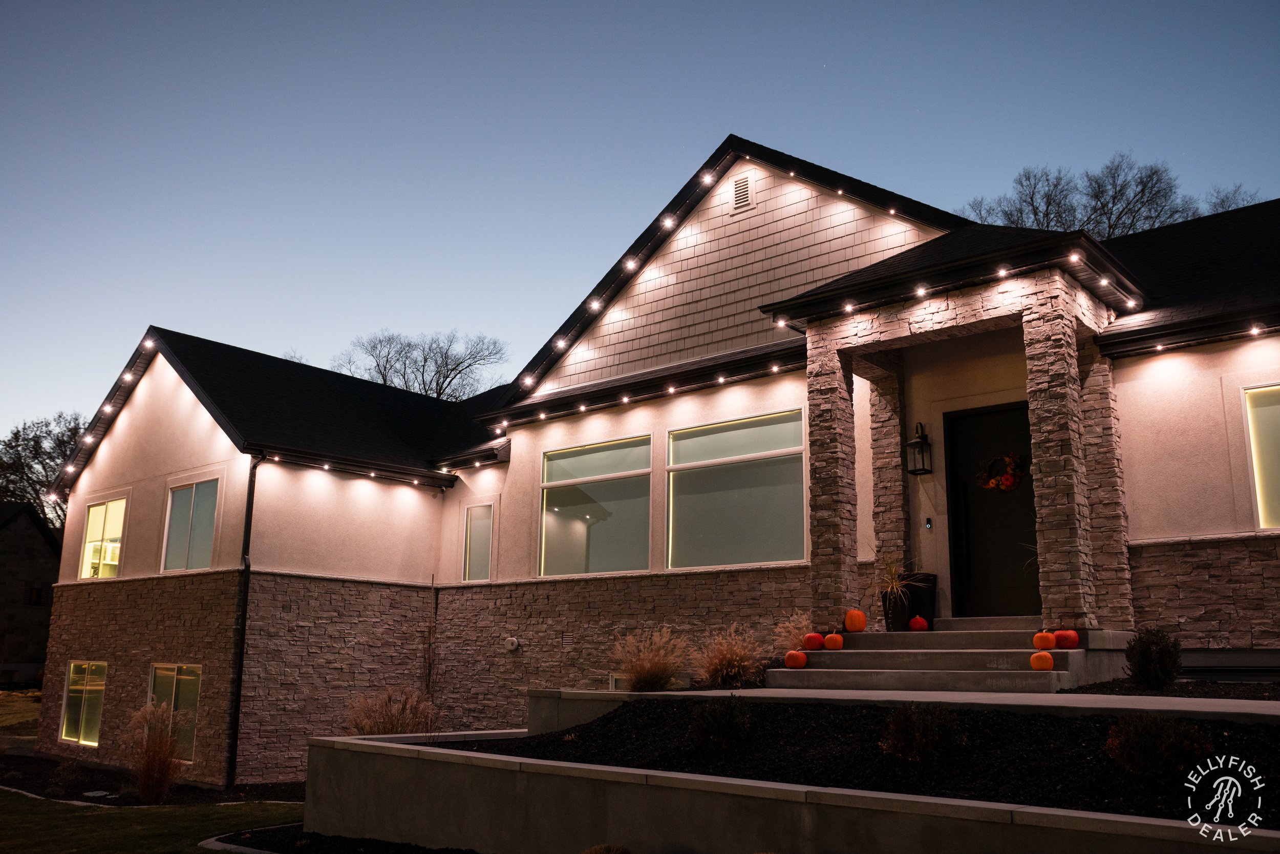 JellyFish Lighting — CoolBreeze Technologies