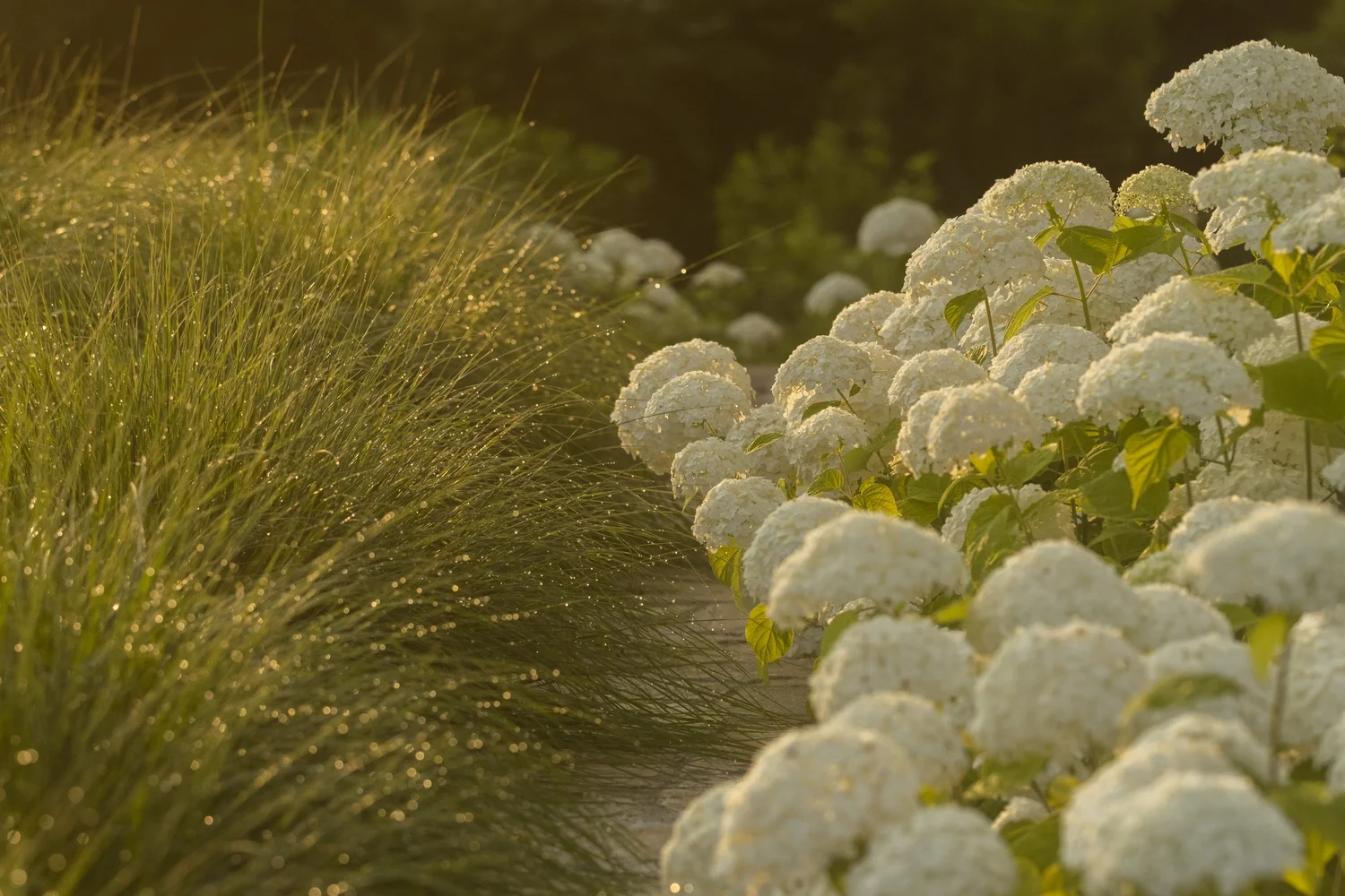 Artemis Landscape Architects, Inc. (Copy)