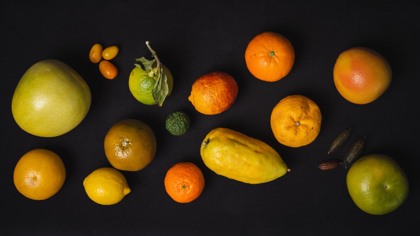 Flor - new restaurant and wine bar in Helsinki