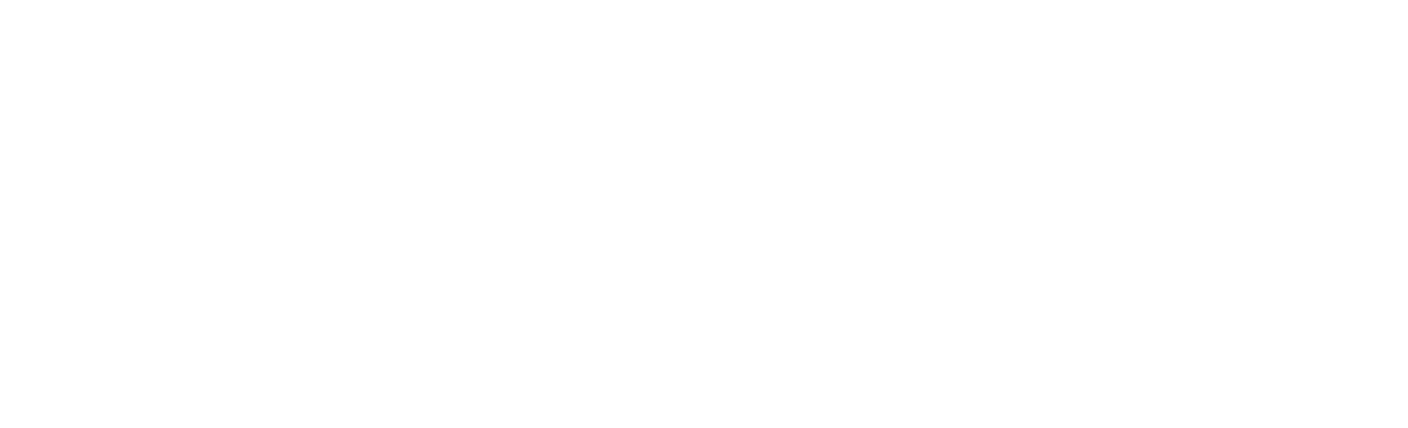 The Commission to Strengthen Local Democracy