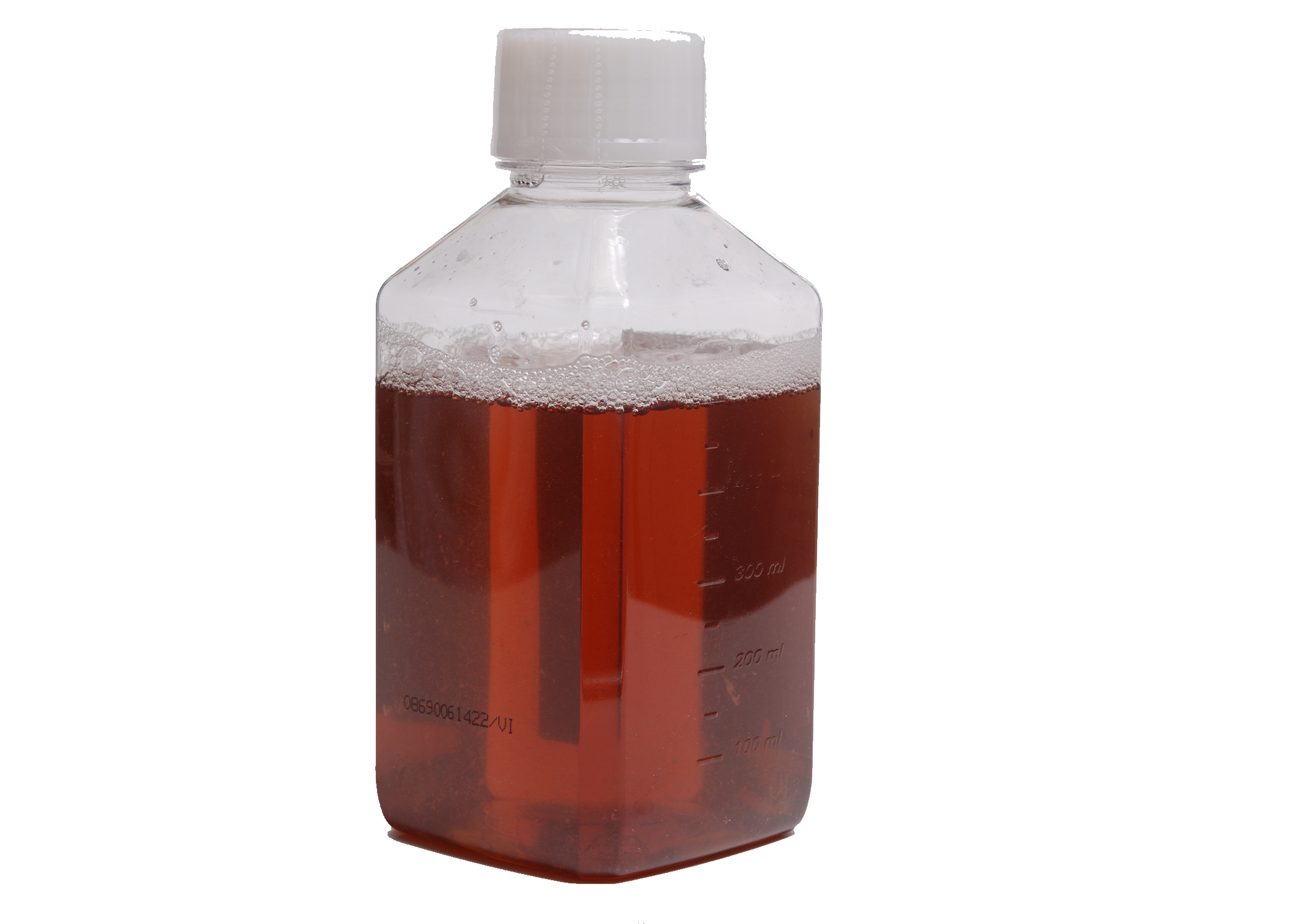 Overview of Standardization in Serum | Ensure Serum Quality Today — ISIA