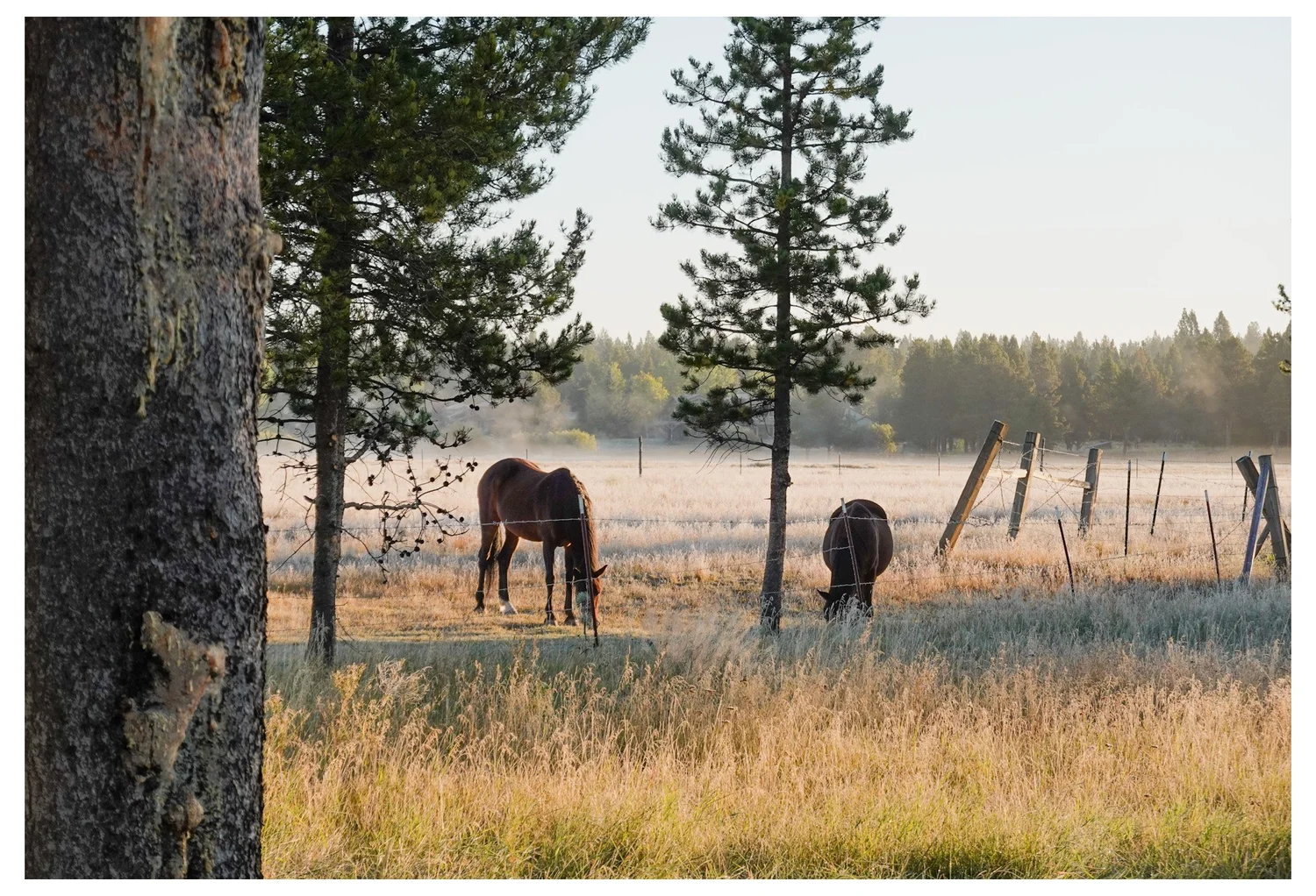 Sunriver Resort | Is this the Best Golf Resort in the PNW ...