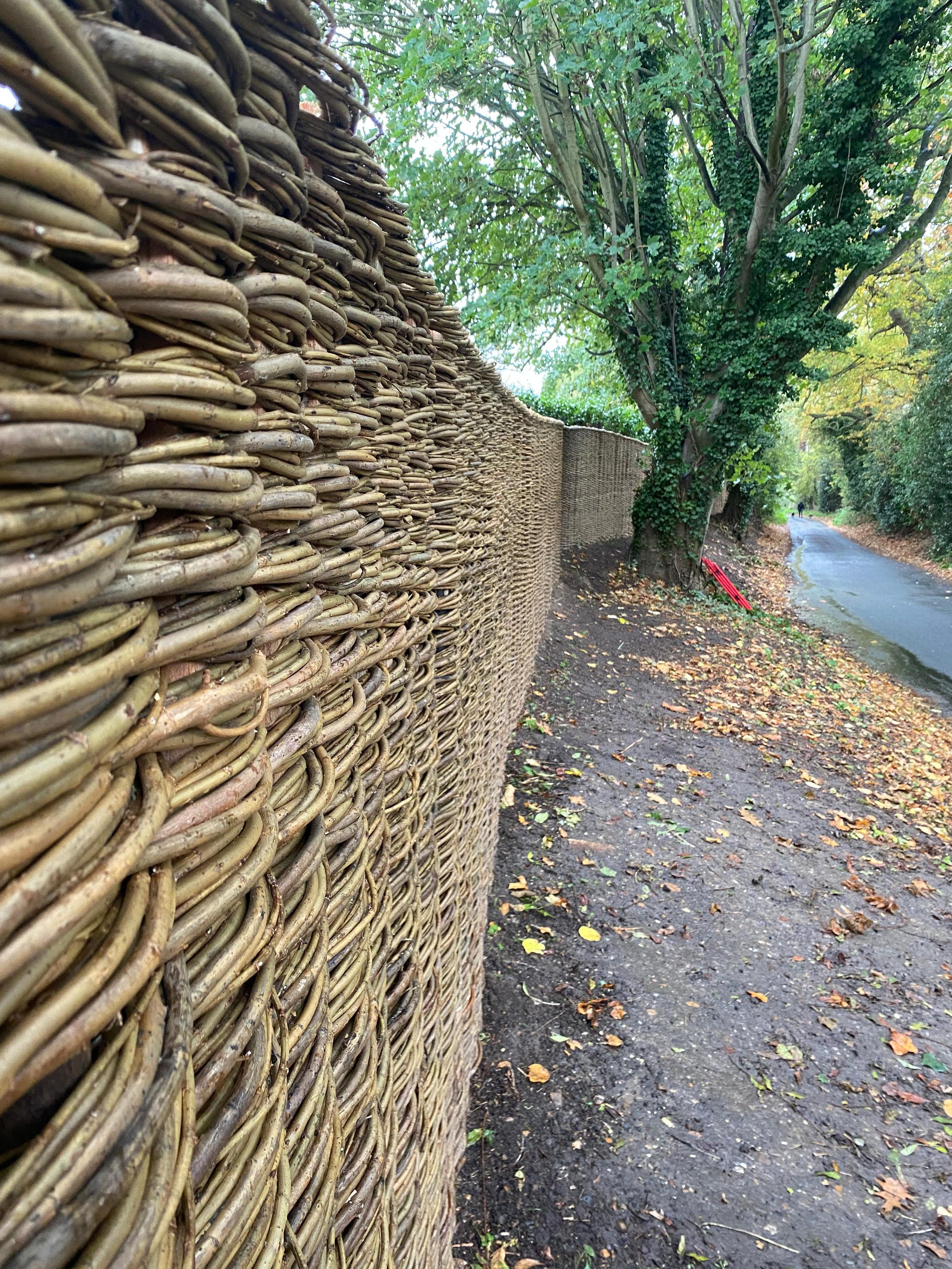 HERITAGE WILLOW