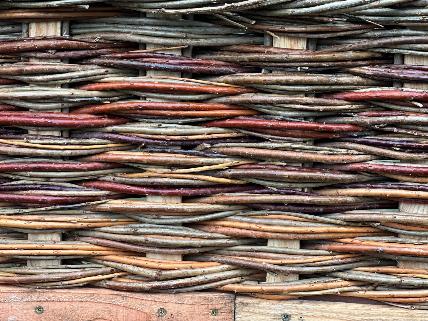 HERITAGE WILLOW