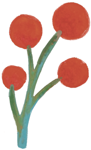 That's Not My Name! by Anoosha Syed — Anoosha Syed