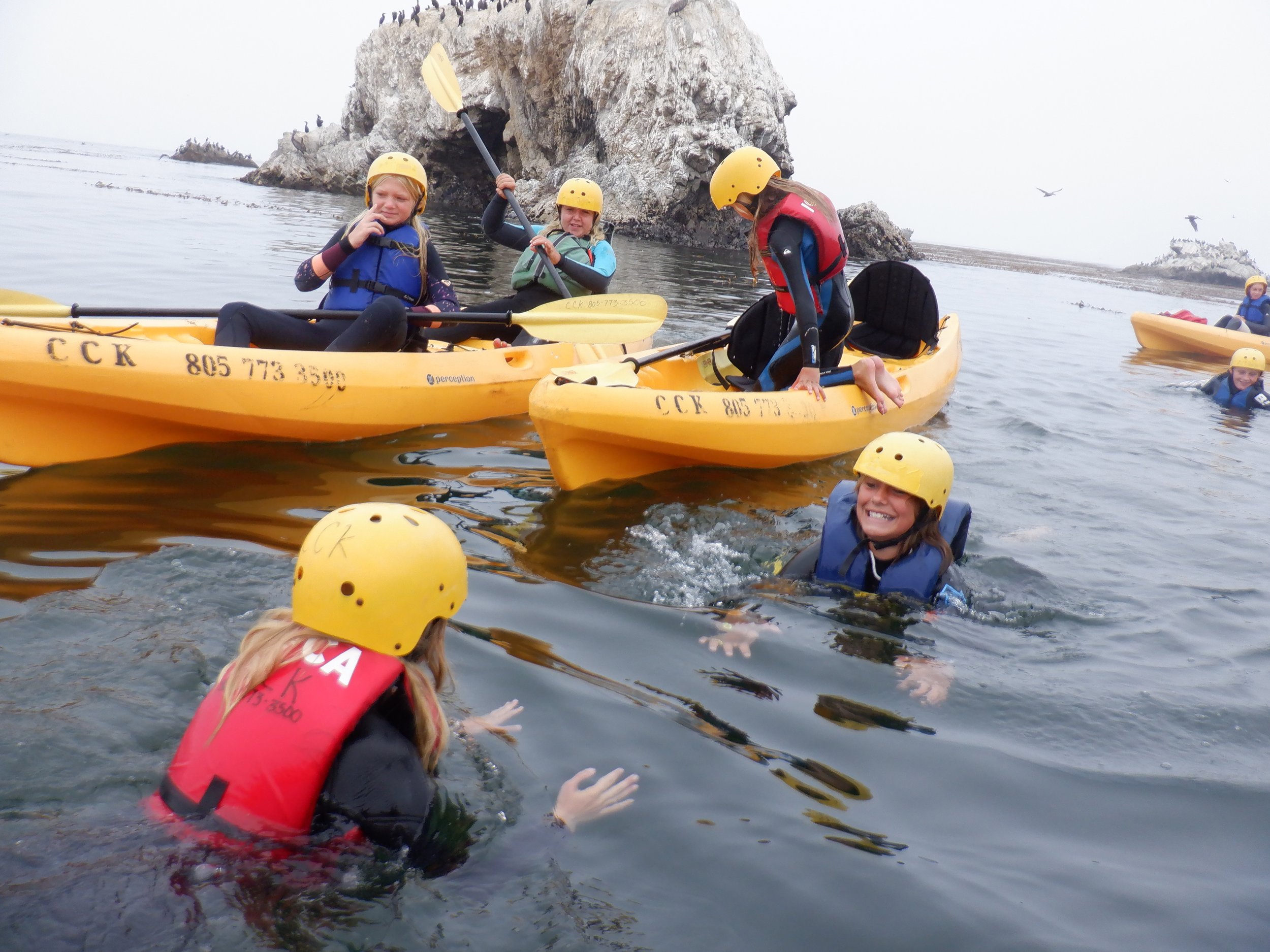 Central Coast Kayaks | Explore & Book Today