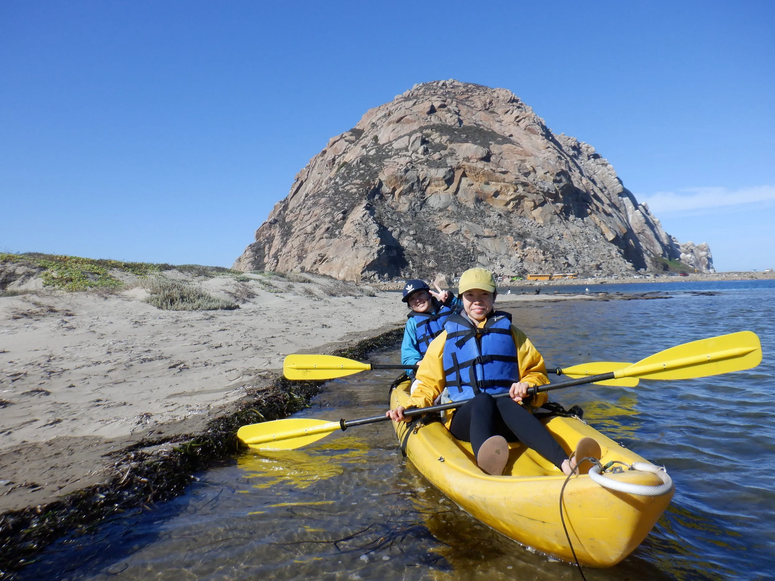 Morro Bay Wildlife Tour | Book Your Adventure — Central Coast Kayaks
