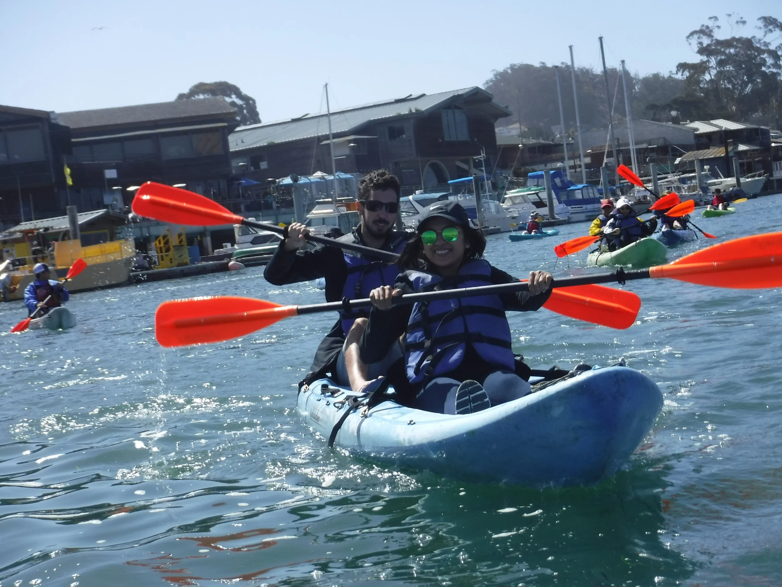 Morro Bay Wildlife Tour | Book Your Adventure — Central Coast Kayaks